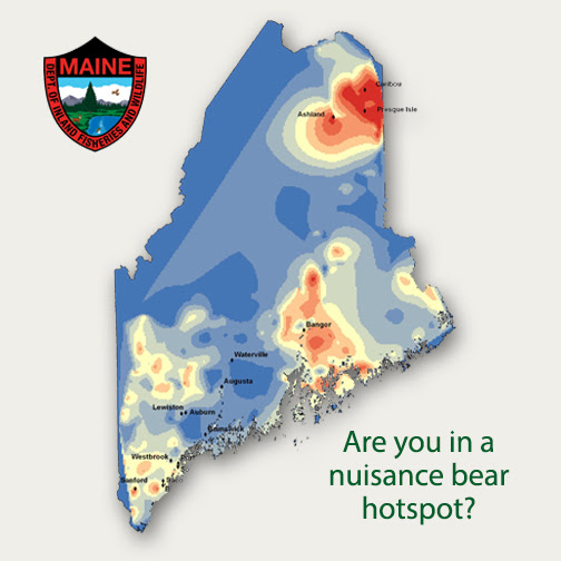 Take these steps now to prevent black bears from coming to your yard ...